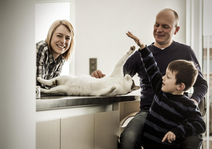 Bostoen helpt je bij het vinden van jouw nieuwe thuis | Bostoen